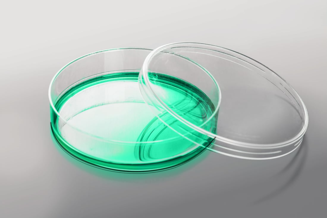 Achema launch: new Settle Plate Changer from Syntegon for automated ...