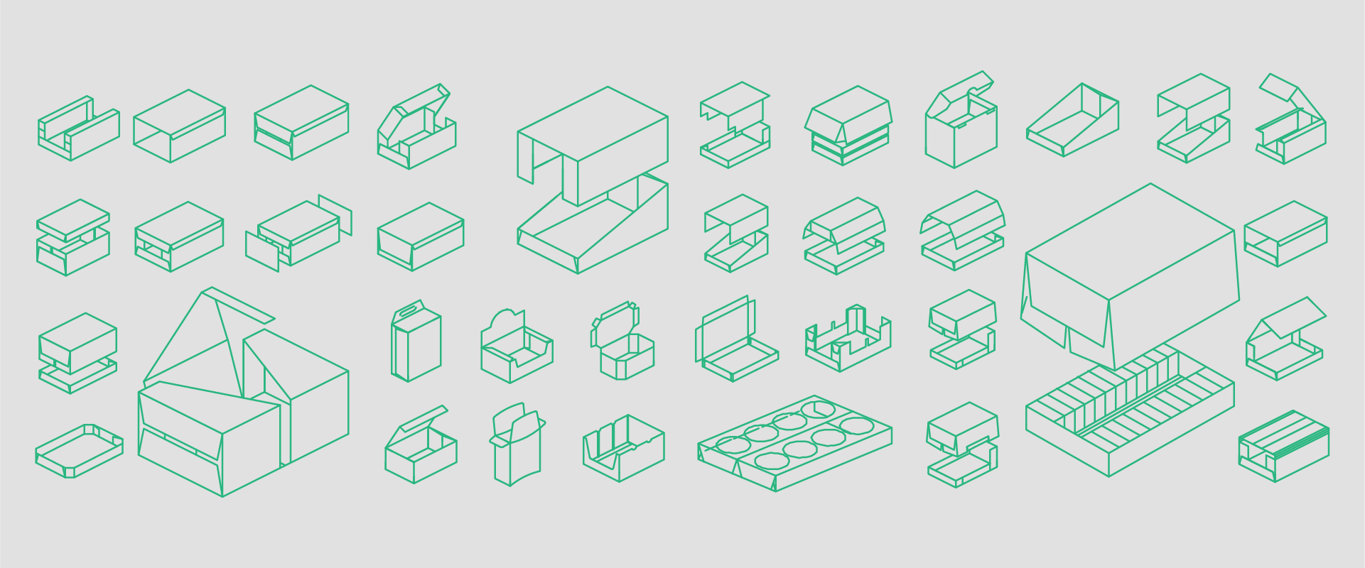 Case Packer | Flexible, Gentle & Fast Case Packing Machine