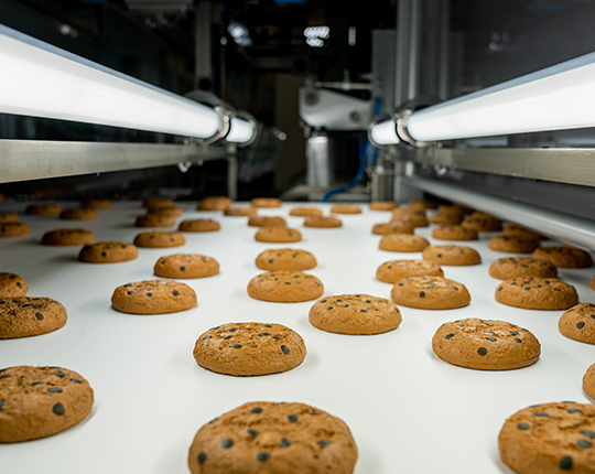 Cookies & Crackers Packaging Machine | Flexible & Efficient